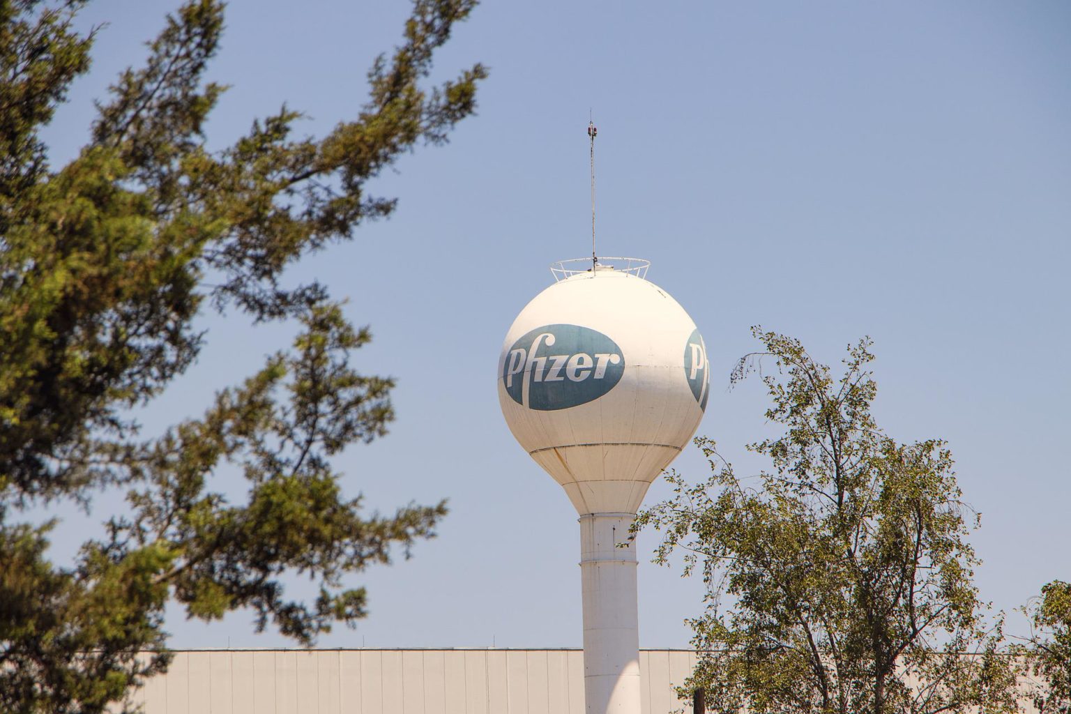 Pfizer-rapport: de bom die u niet had mogen horen - Kairos